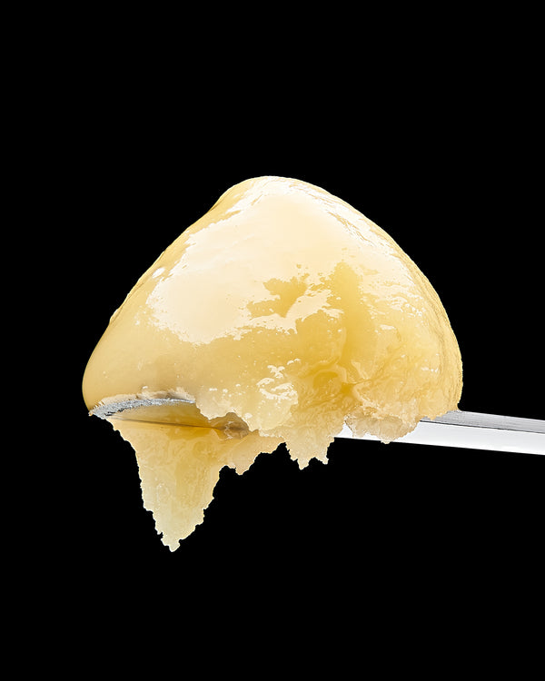 Indoor THCa Live Hash Rosin | Solventless – C.H.F.