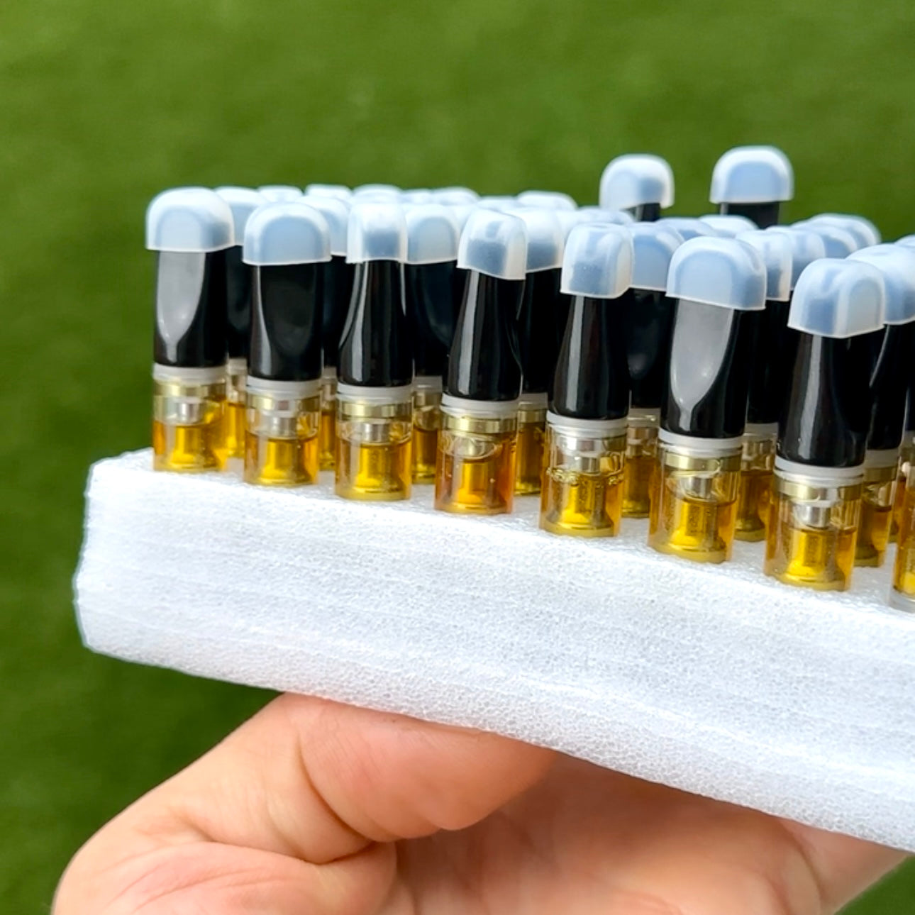 THCa Live Hash Rosin | Full-Spectrum – C.H.F.