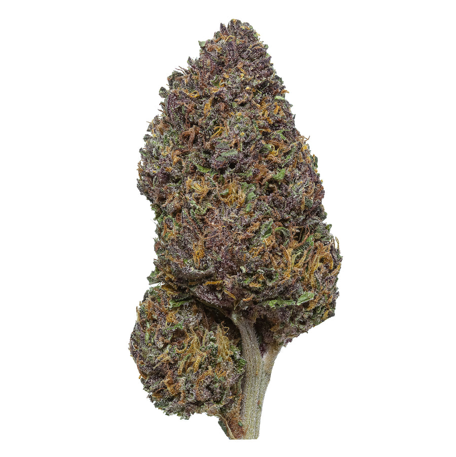 Canna Haus Farms | Solventless CBD & THC – C.H.F.