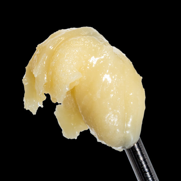 Indoor THCa Live Hash Rosin | Solventless – C.H.F.